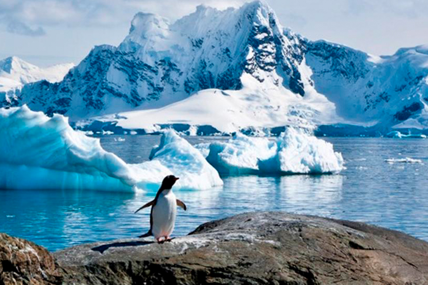 La Antártida, un destino imperdible | Revista Cabal
