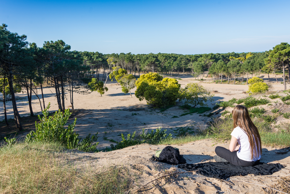 Pinamar | Revista Cabal