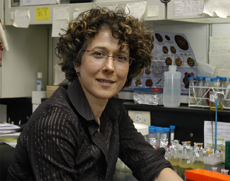 Andrea Gamarnik - Alchetron, The Free Social Encyclopedia
