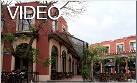 Cardales | Revista Cabal