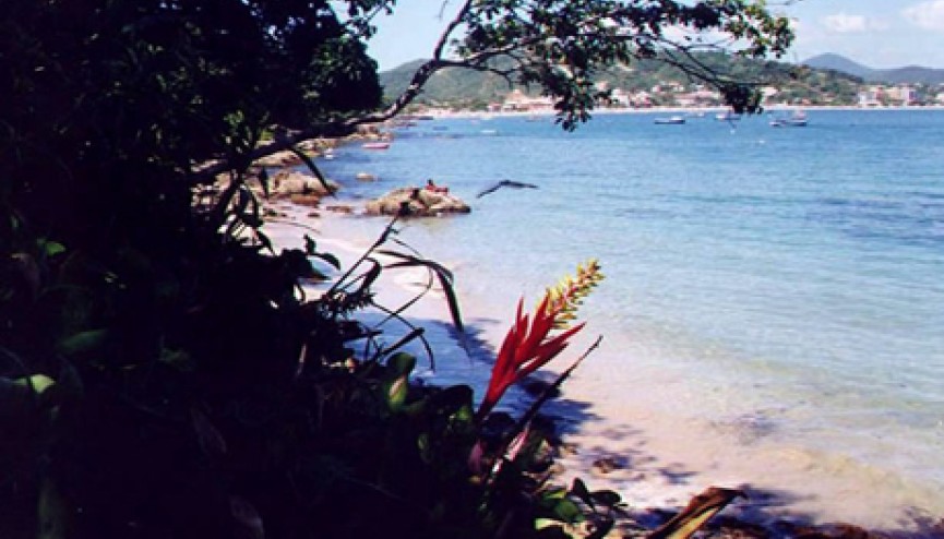 Brasil: Bombas y Bombinhas | Revista Cabal